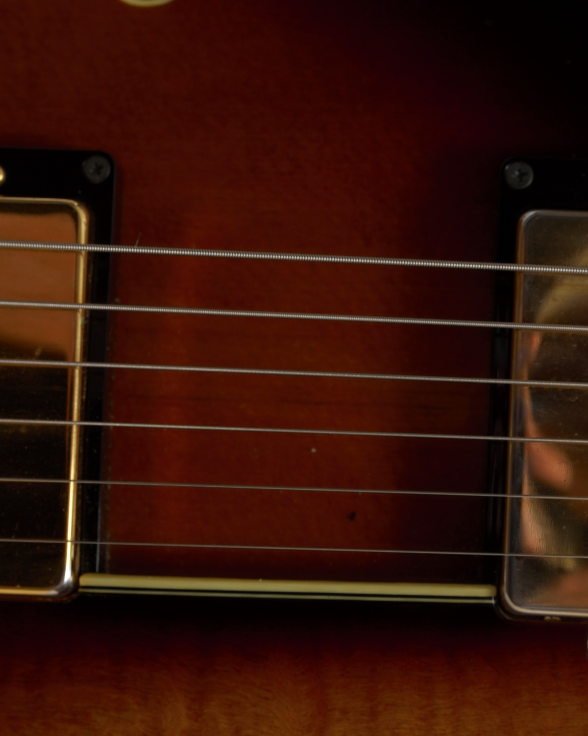 Gallery – Guitarist George